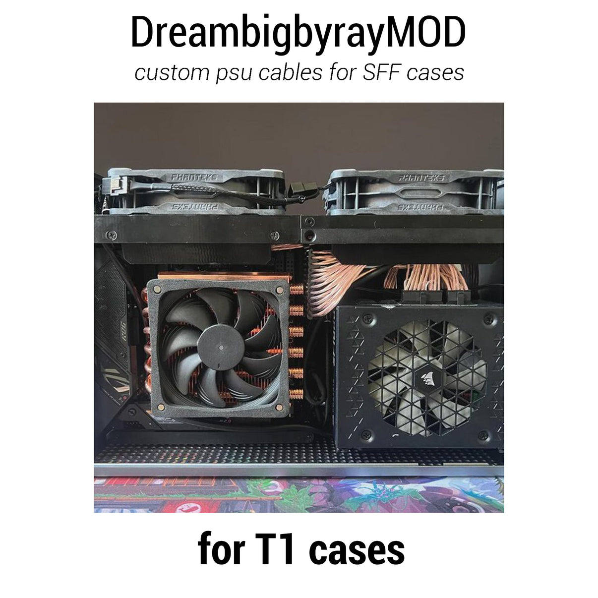 DreambigbyrayMOD custom psu cables for T1 case